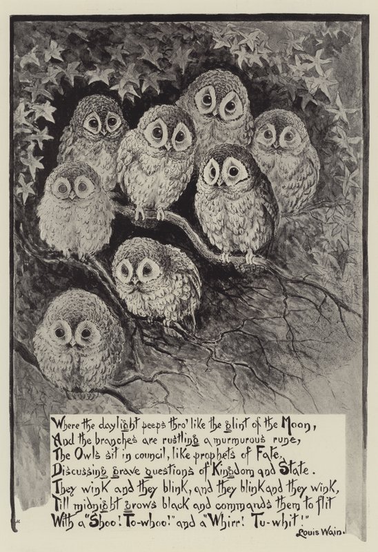 Louis Wain's Owls by Louis Wain: Buy fine art print