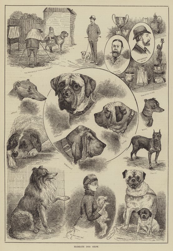 Margate Dog Show by Louis Wain: Premium art reproduction