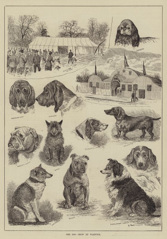 The Dog Show at Warwick by Louis Wain: Buy fine art prints