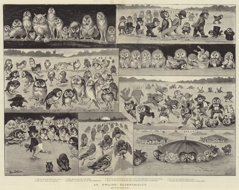 An Owlish Eccentricity by Louis Wain: Buy fine art print