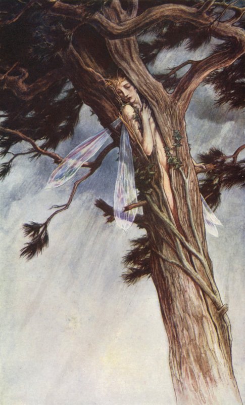 The Tempest by William Shakespeare, Act I, Scene 2