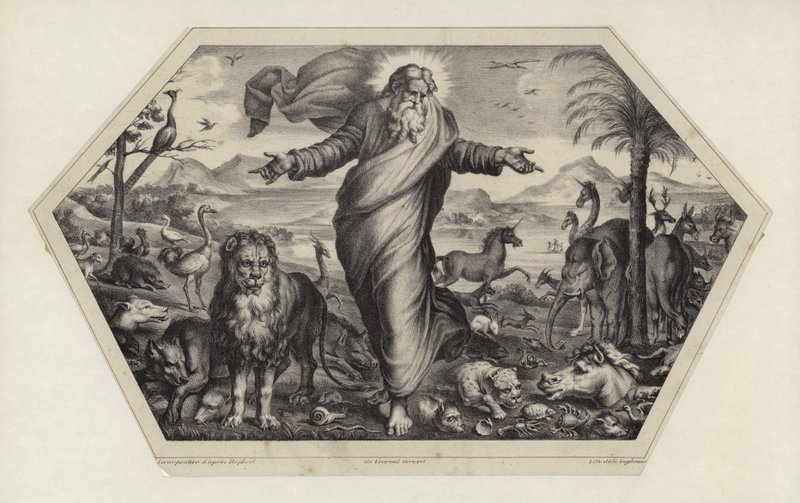 The Creation of the Animals by Raffaello Sanzio Raphael