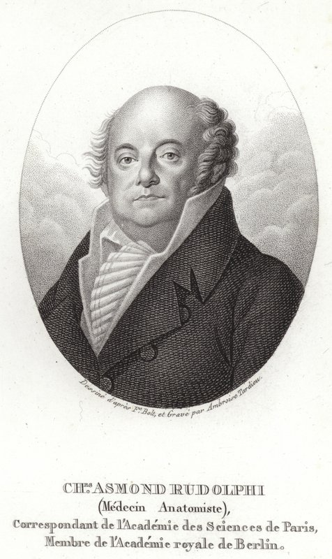 Karl Asmund Rudolphi by Swedish School: Buy fine art print