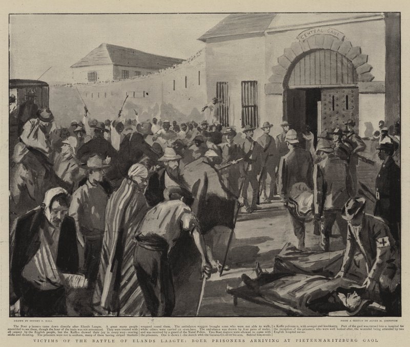 Victims of the Battle of Elands Laagte, Boer Prisoners arriving at ...