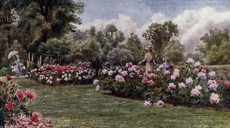 Kew Gardens: The Peonies by Thomas Mower Martin