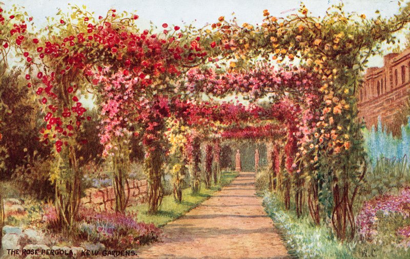 The Rose Pergola, Kew Gardens by William Affleck Carruthers